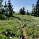 Three Peaks Loop, Washington - 151 Reviews, Map | AllTrails