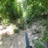 Green Ridge Trail, Texas - 928 Reviews, Map | AllTrails