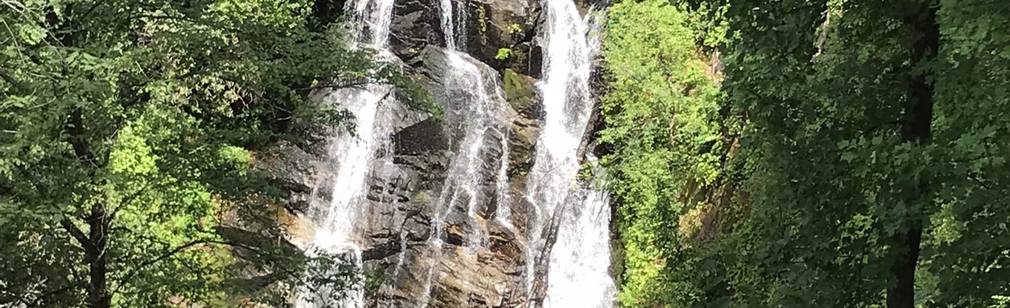 Beech Bottom Falls, South Carolina - 362 Reviews, Map | AllTrails