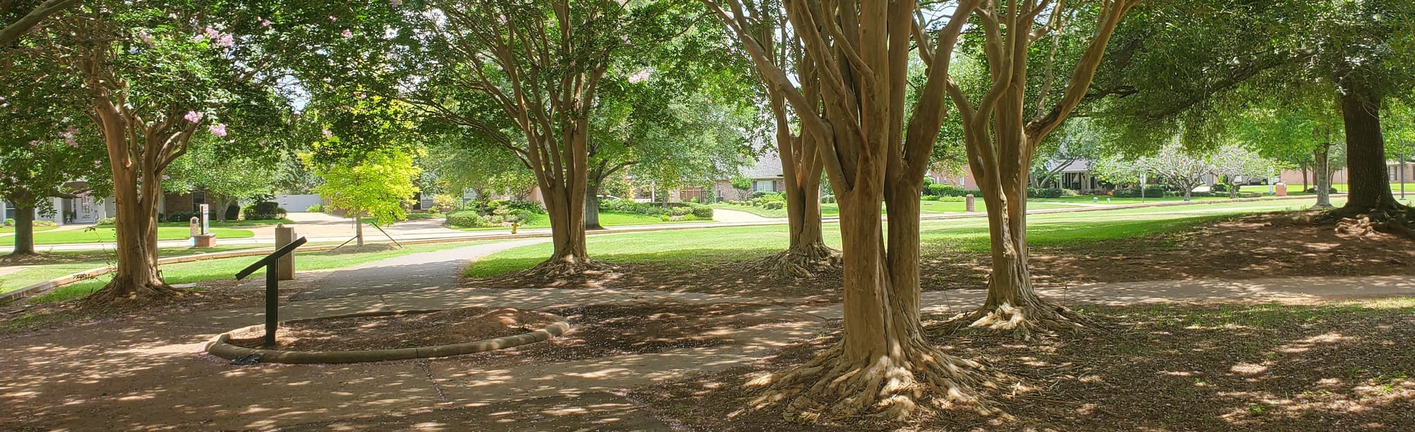 Compton Park Loop: 80 Reviews, Map - Louisiana | AllTrails