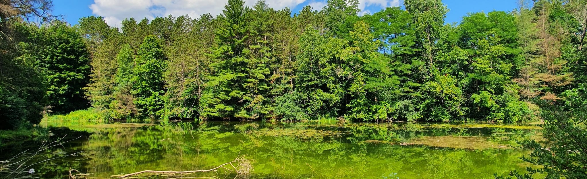 Countryside Preserve Trail Loop: 681 Reviews, Map - Ontario, Canada ...