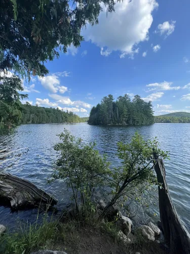 10 Best Walking Trails in Chelsea | AllTrails