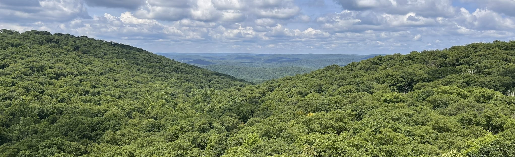 Halfway Mountain, New York - 299 Reviews, Map | AllTrails