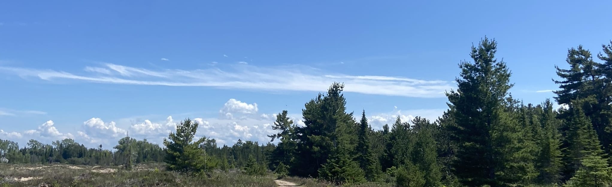 Old Dock and Florence Lake Loop, Michigan - 28 Reviews, Map | AllTrails
