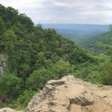 Mathews Arm Overall Run Trail, Virginia - 242 Reviews, Map | AllTrails