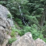 Mathews Arm Overall Run Trail, Virginia - 242 Reviews, Map | AllTrails