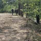 Lake Winona Scenic Drive, Arkansas - 13 Reviews, Map | AllTrails