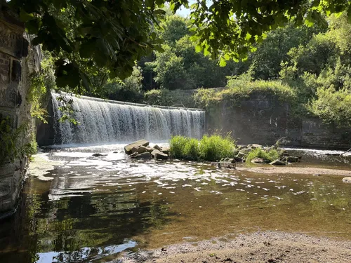 Best Walking Trails in Reddish Vale Country Park | AllTrails