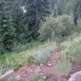 Kelly Creek, Idaho - 17 Reviews, Map | AllTrails