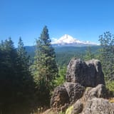 Dog River Trail, Oregon - 227 Reviews, Map | AllTrails