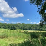 Farmdale Recreation Area Trail, Illinois - 870 Reviews, Map | AllTrails