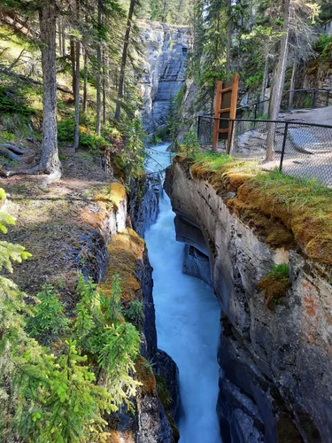 10 Best Hikes and Trails in Jasper National Park | AllTrails