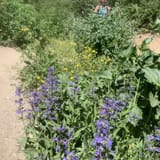 Bogus Basin Loop Trail, Idaho - 237 Reviews, Map | AllTrails