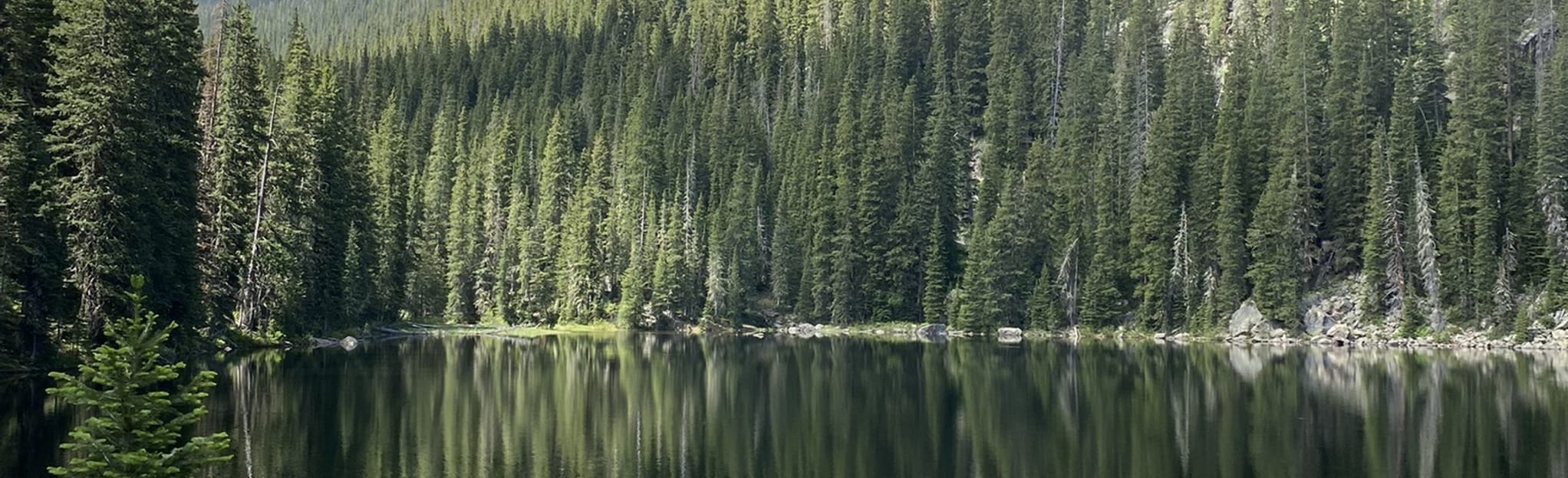 Beaver Lake Trail: 2053 Reviews, Map - Colorado | AllTrails