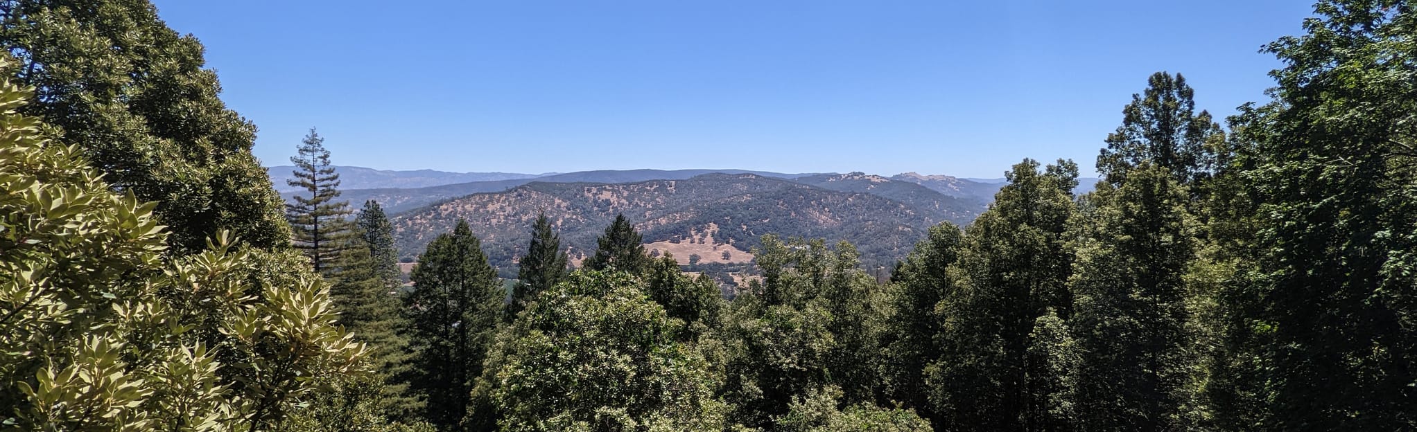 Inspiration Point, Redwood Flat, and Squirrel Trail Loop: 18 Reviews ...