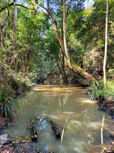 Best Hikes and Trails in Belli Park | AllTrails