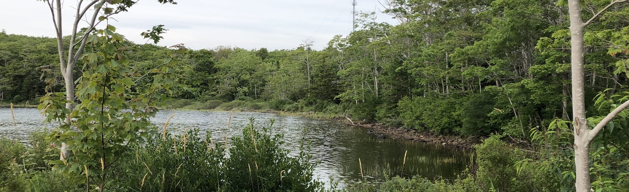 AllTrails | Valleyview Provincial Park Loop: 27 Reviews, Map - Nova ...