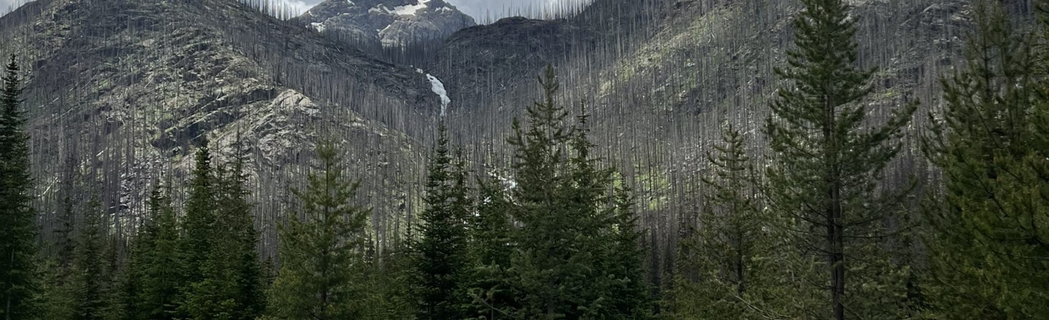 Haystack Lake, British Columbia, Canada - 6 Reviews, Map | AllTrails