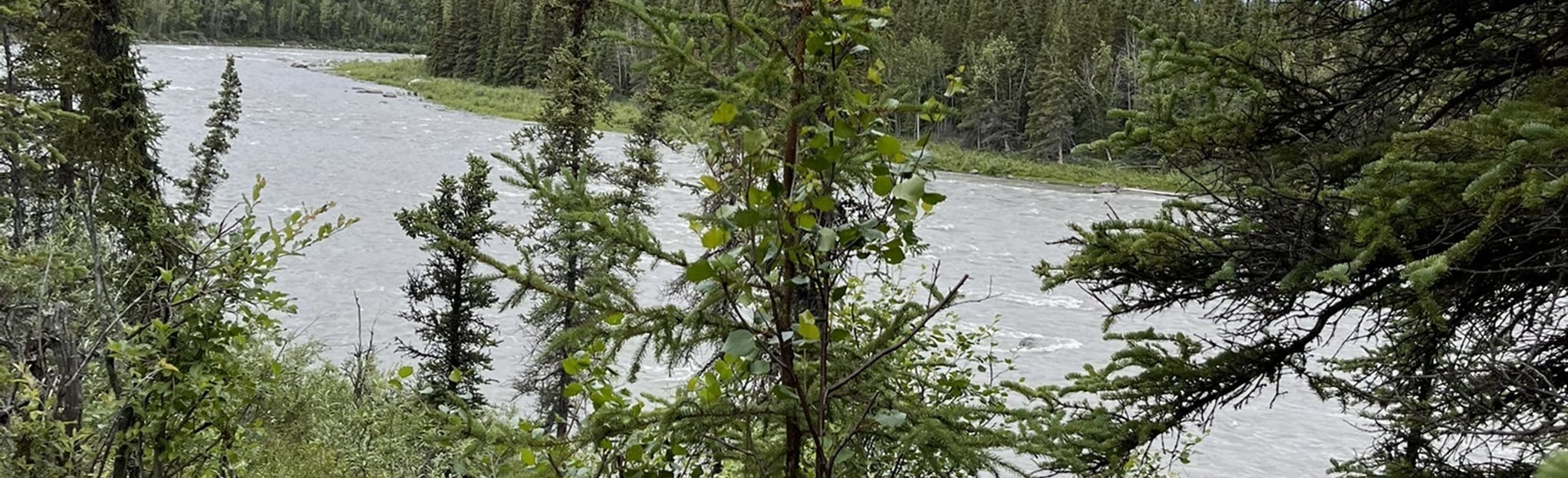 Oxbow Trail: 23 Reviews, Map - Alaska | AllTrails