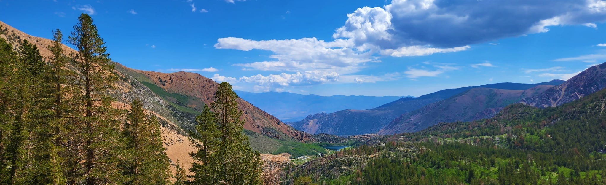 Mount Lamarck Summit: 43 Reviews, Map - California | AllTrails