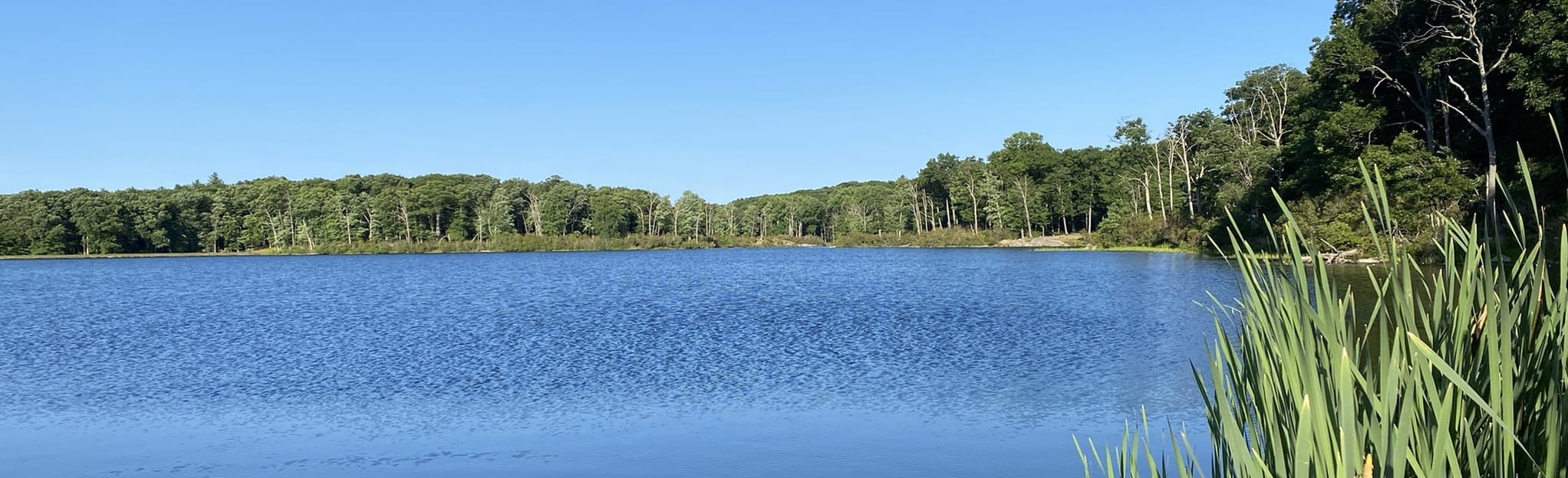 Red Cross, Beech Trail and Long Path Loop from Lake Skannatati - New ...