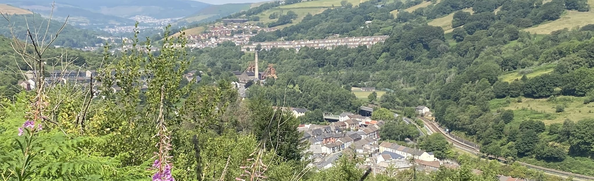 Pontypridd and Gelliwion Forest Circular: 39 Reviews, Map - Rhondda ...