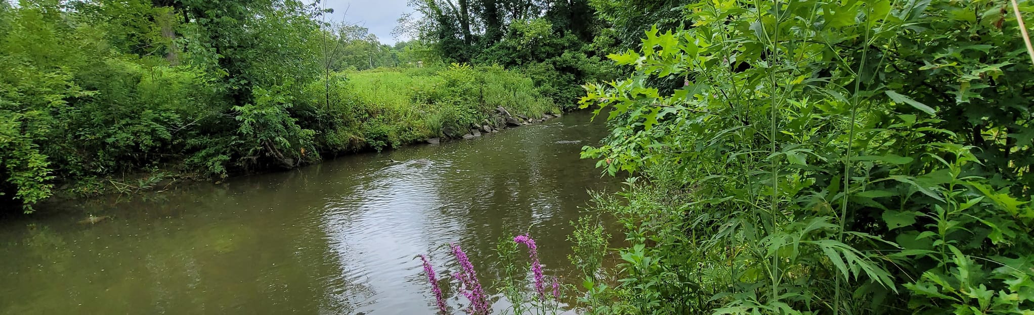 Brush Creek and Graham Park Walking Path Loop: 42 foto - Pennsylvania ...