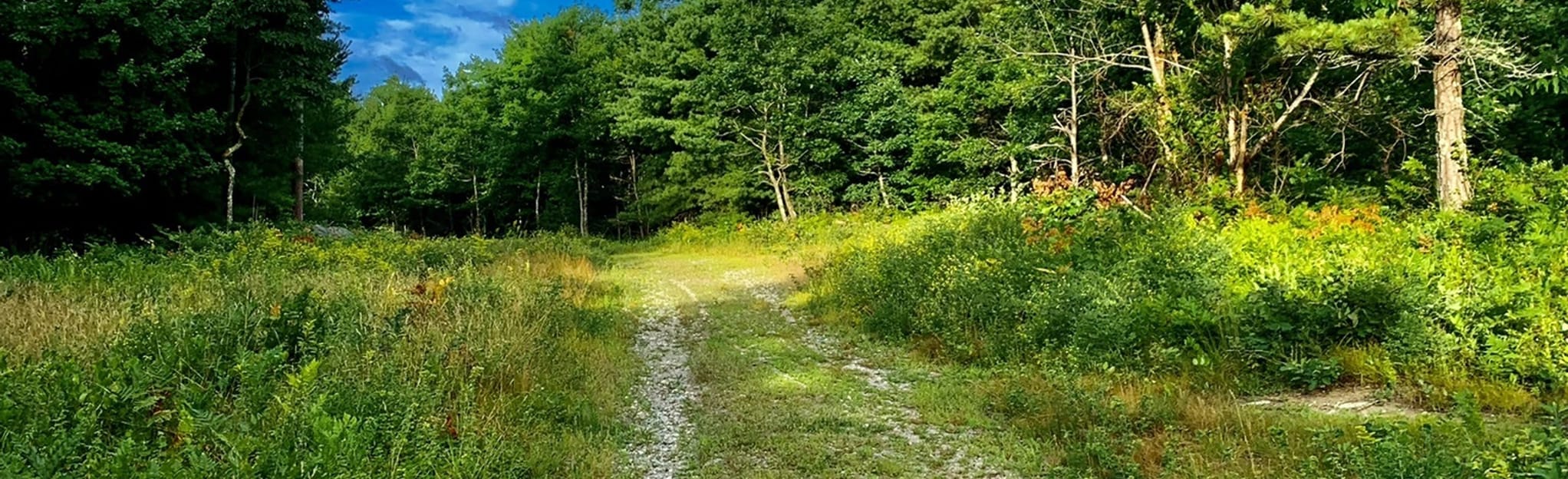 Hathaway Road and Breackneck Hill Trail Loop: 73 Reviews, Map ...