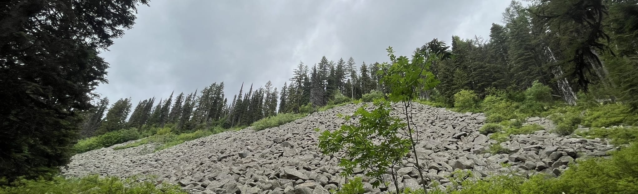 Pack Saddle Mountain Trail: 8 Reviews, Map - Idaho | AllTrails