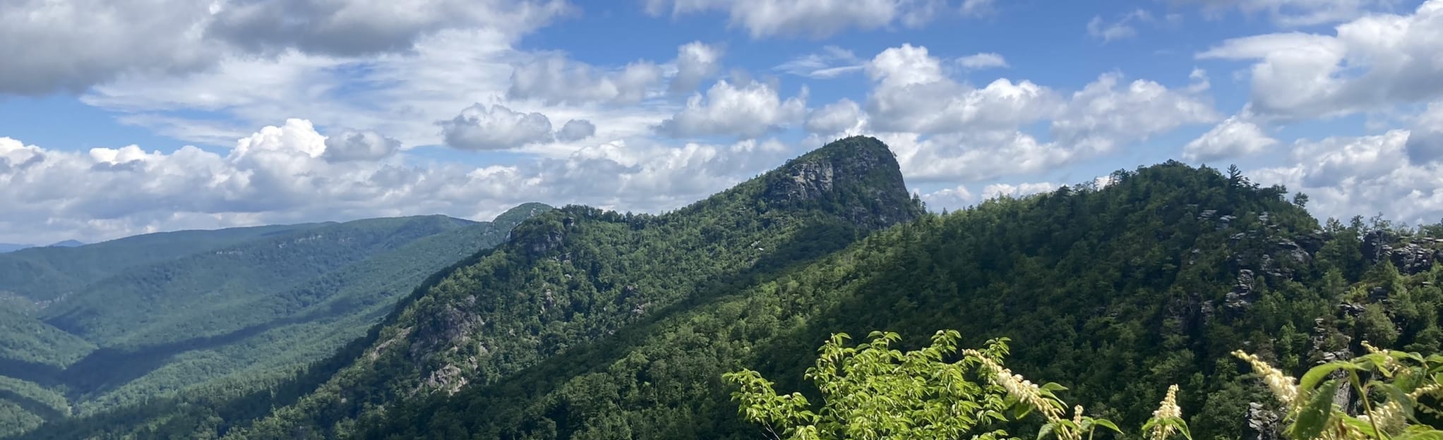 Linville Gorge Grand Loop, North Carolina - 340 Reviews, Map | AllTrails