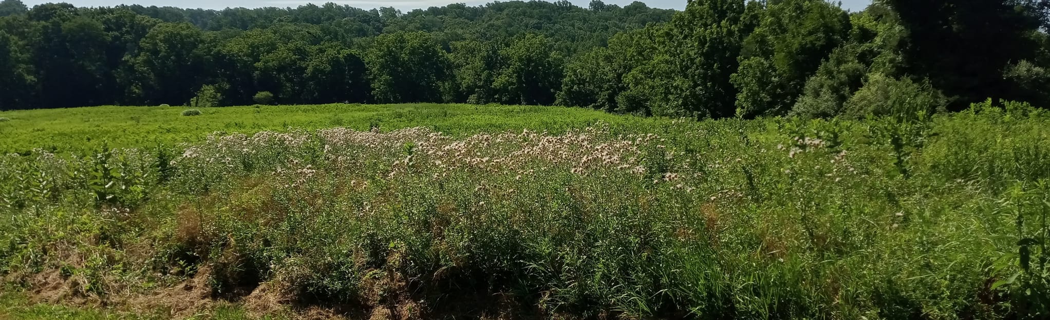 Playwicki Farm Park, Pennsylvania - 73 Reviews, Map | AllTrails