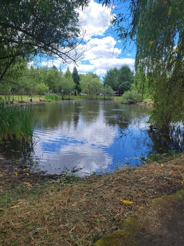 2023 Best trails in Florence Robinson Park | AllTrails