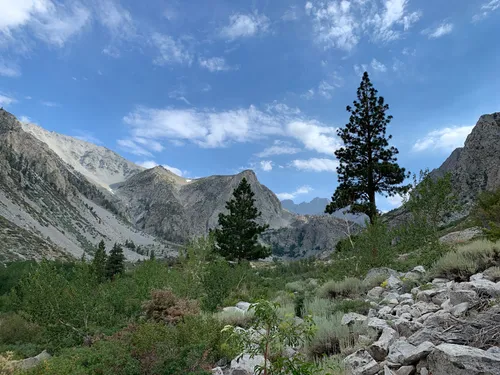 10 Best Trails and Hikes in Big Pine | AllTrails