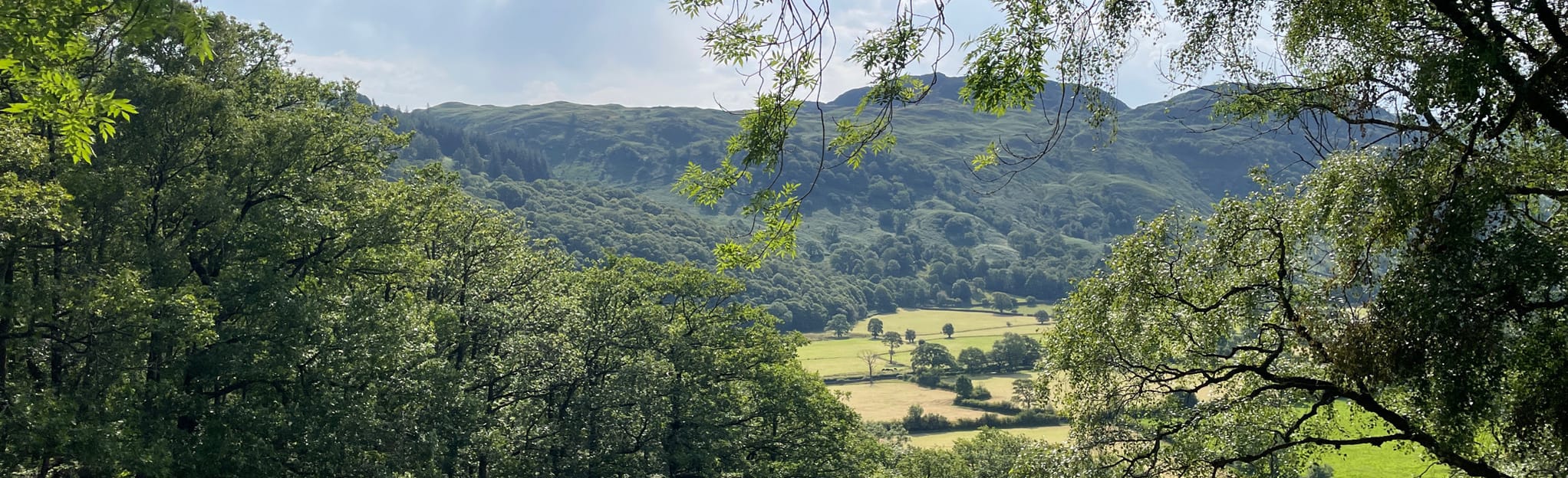 Castle Crag Circular, Cumbria, England - 229 Reviews, Map | AllTrails