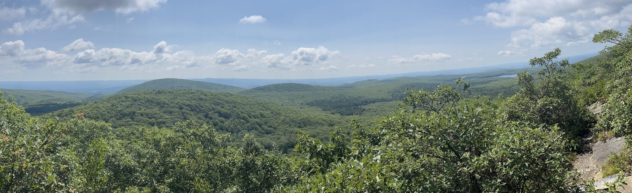 Mount Frissell, Brace and Bear Mountain Loop: 131 Reviews, Map ...