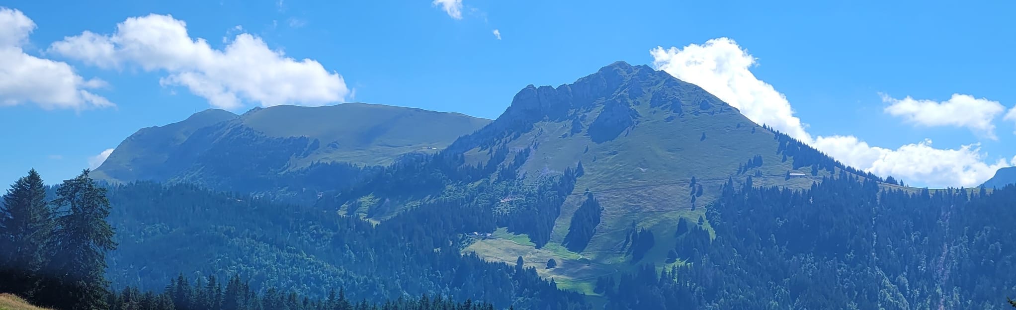 Les Paccots - Le Pâquier: 57 foto's - Fribourg, Switzerland | AllTrails