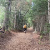 Potato Field and Maple Grove Trail Loop, New York - 305 Reviews, Map ...