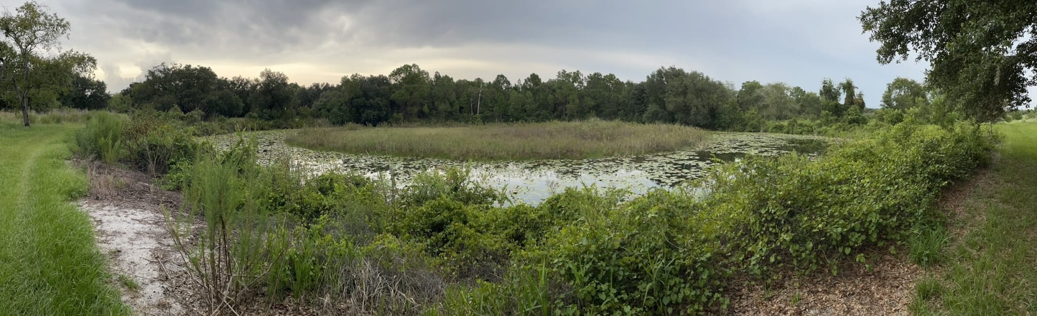 Big Creek Loop, Florida - 232 Reviews, Map | AllTrails