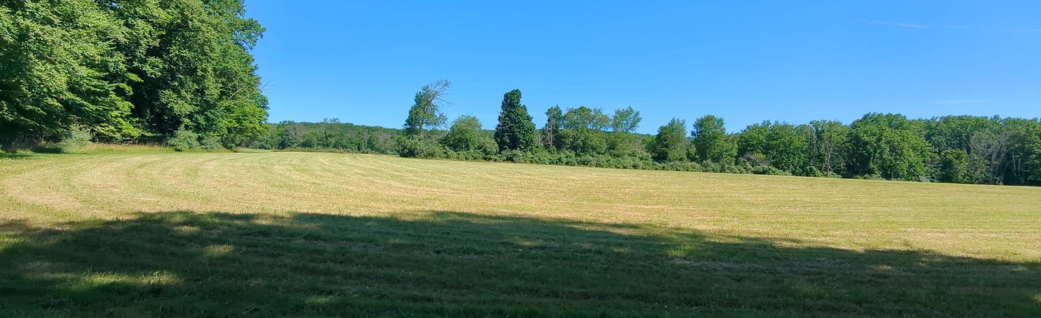 Round Mountain Section to River (Red) Trail Loop: 116 fotos - Nova ...