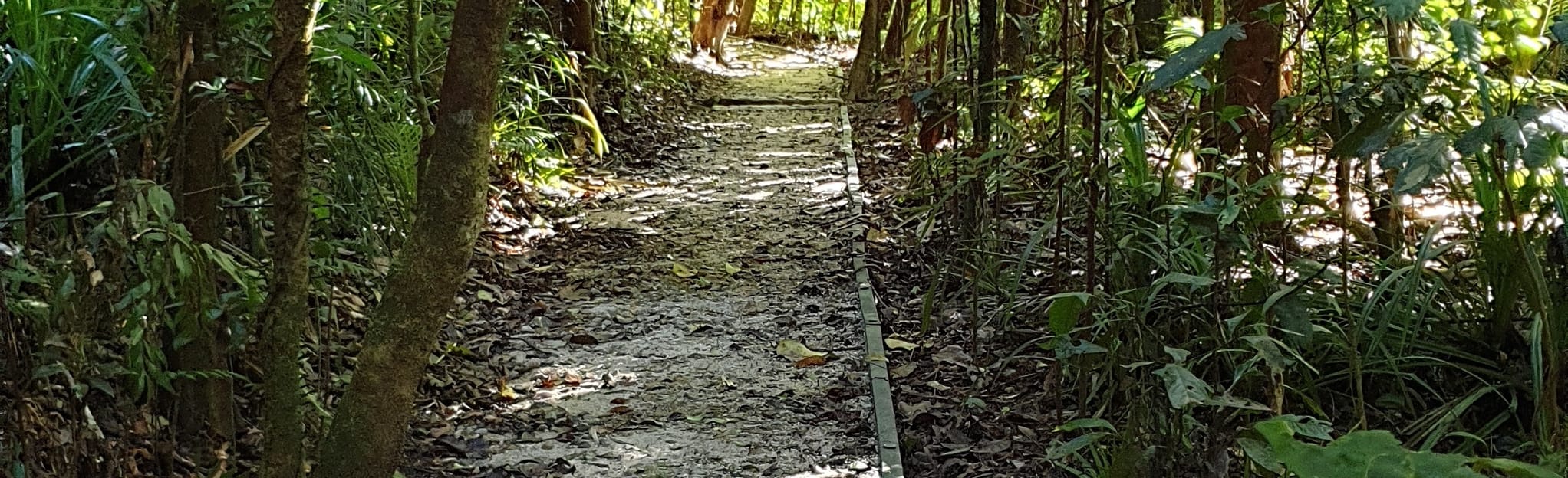 Lacey Creek Walk, Queensland, Australia - 29 Reviews, Map | AllTrails