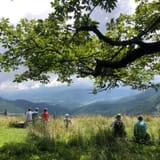 Hemphill Bald via Cataloochee Divide Trail, North Carolina - 356 ...