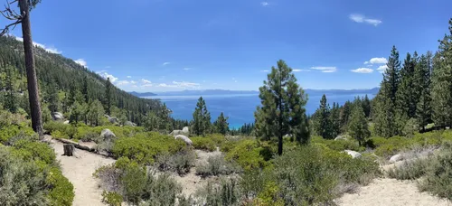 10 Best Hikes and Trails in Humboldt-Toiyabe National Forest | AllTrails