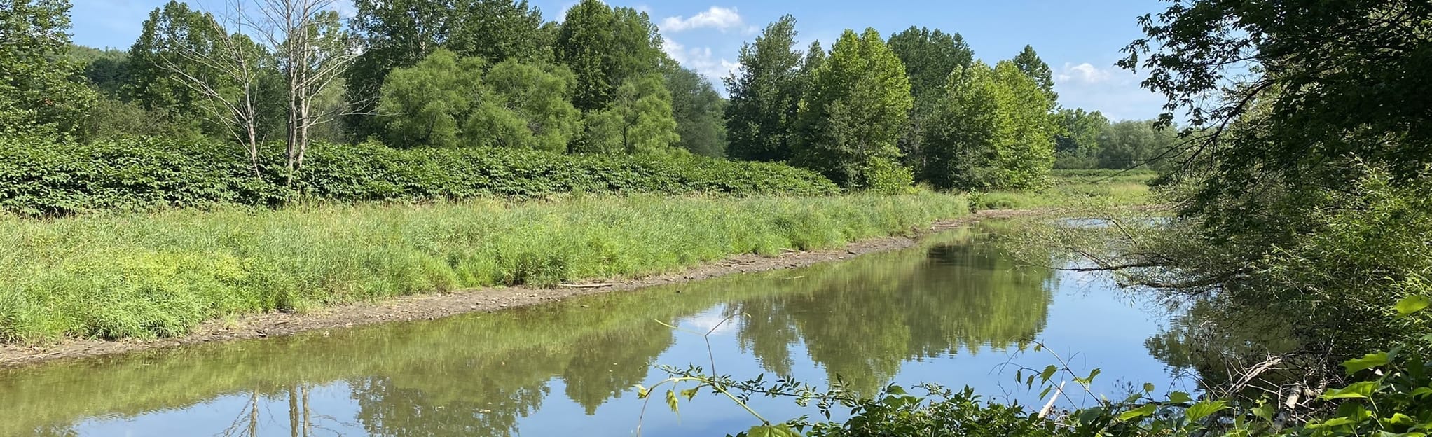 Ives Run Nature Walk, Pennsylvania - 37 Reviews, Map | AllTrails