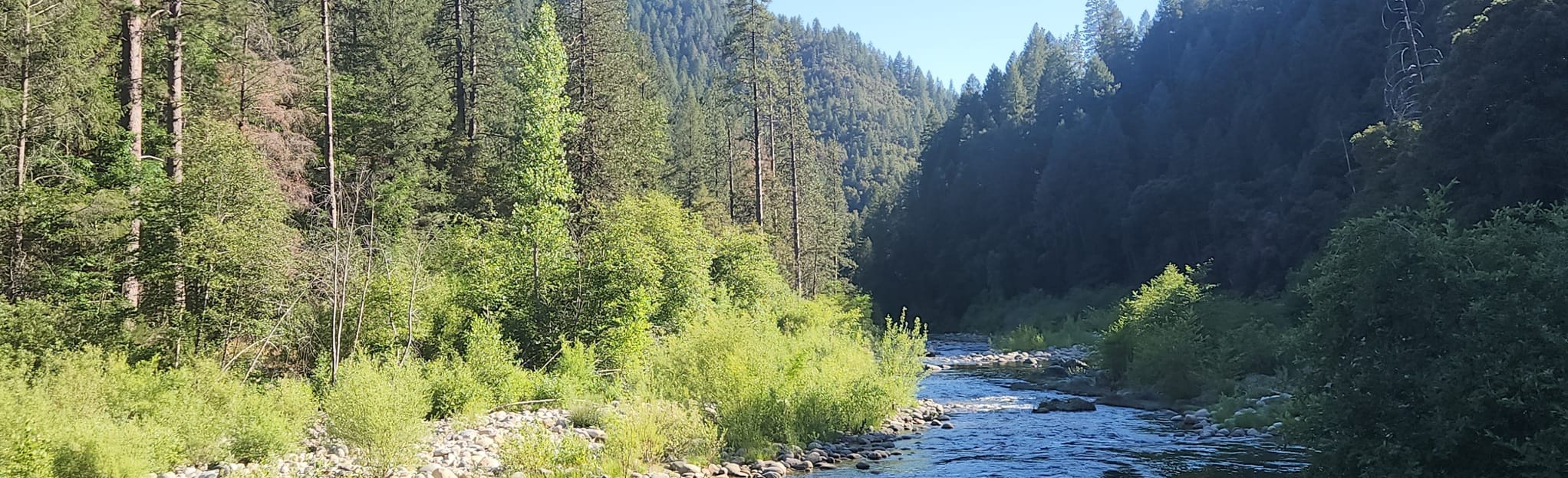 South Yuba Trail, California - 132 Reviews, Map | AllTrails