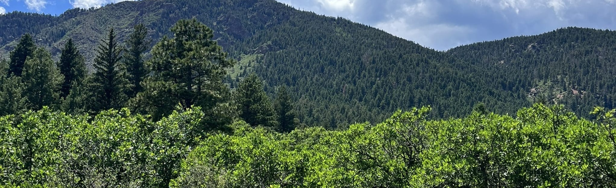 Mount Herman via Red Rocks Drive: 1.038 foto's - Colorado | Wandelen ...