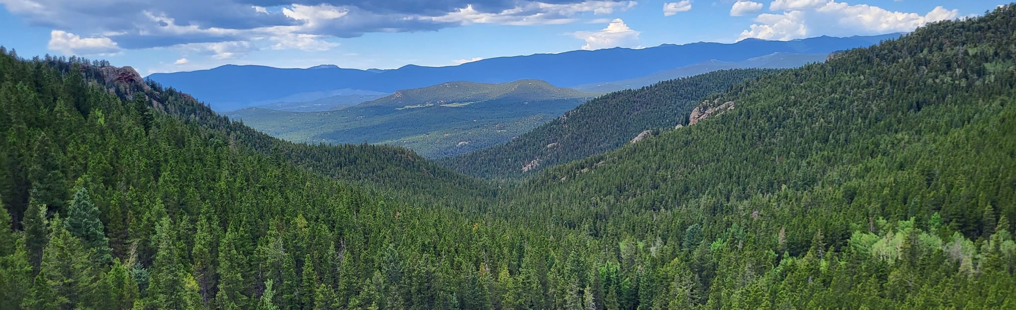 Mason Creek and Staunton Ranch Trail Loop: 466 Reviews, Map - Colorado ...