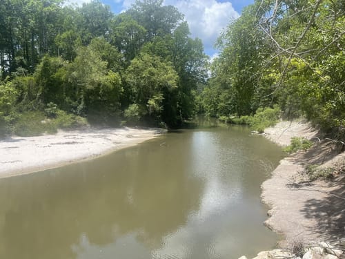 Best 10 Hikes and Trails in Kisatchie National Forest | AllTrails