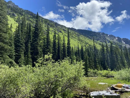 10 Best Trails and Hikes in Sequim | AllTrails