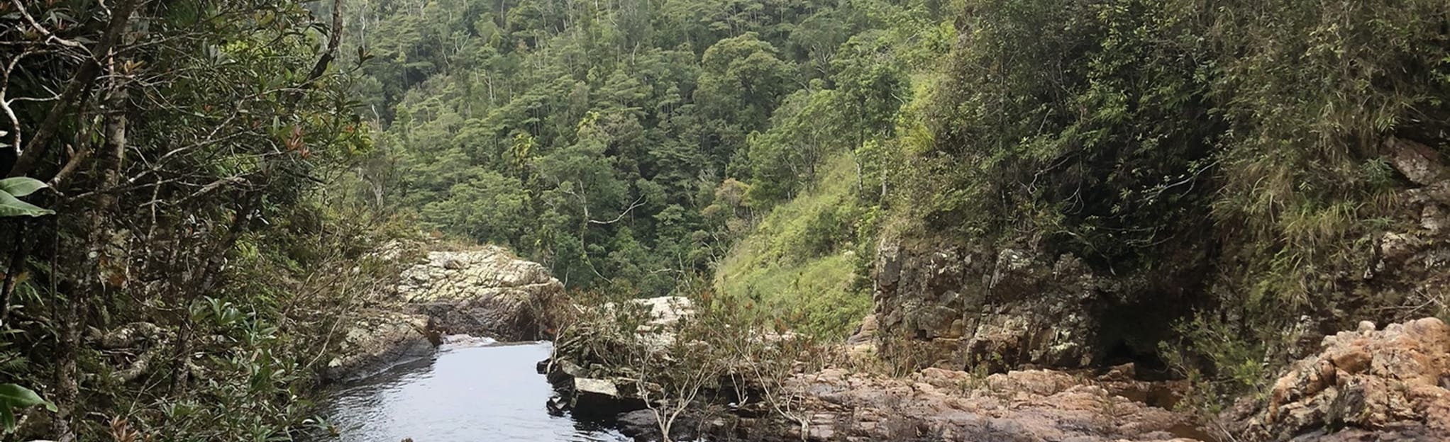 Kennedy Creek Falls Walk - Queensland, Australia | AllTrails