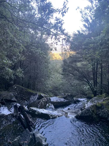 Best Hikes and Trails in Russell Ridge Conservation Area | AllTrails